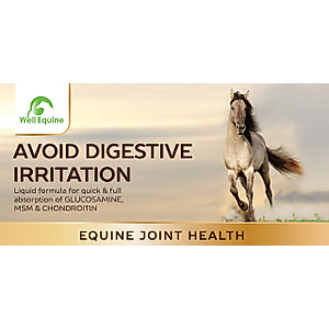 Equine Joint Health Supplement | Liquid Horse Glucosamine with MSM, Chondroitin and Hyaluronic Acid | Highly Effective Liquid Horse Joint Supplement | 1qt