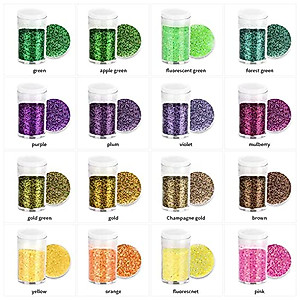 ✪ Various Craft Glitter Powder Suitable for Resin Crafts Body Face and Nails