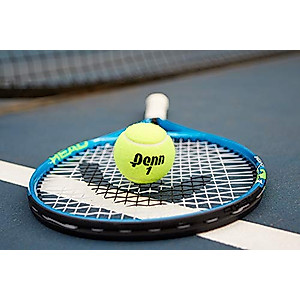 Penn Championship - Extra Duty Felt Pressurized Tennis Balls - (2 Cans, 6 Balls)
