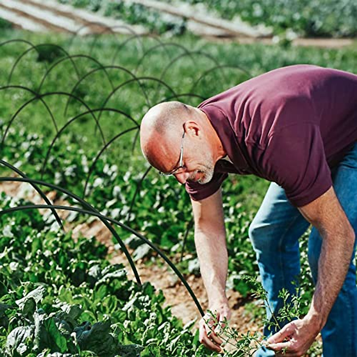 Garden Hoops - Hoop House Greenhouse DIY Garden Hoops for Raised Beds,Fiberglass Support Hoops Frame Plant Hoops for Garden Netting,Garden Tunnel Hoops,Row Cover Hoops Kit 30pcs