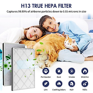 2 Pack HE601 H13 True HEPA Replacement Filter Compatible with Shark Air Purifier 6-Fan HE601 HE602,H13 True HEPA Filter, Compare to Part # HE6FKPET, HE6FKBAS, HE6FKPRO