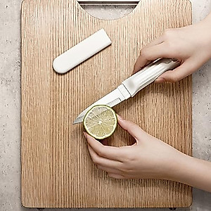 WISELADY Portable Fruit Knives with Hanging Ring, Paring Knife, Small Kitchen Knife with Sharp Blade, Paring Knife for Cutting and Preparing Fruit and Vegetables (Green)