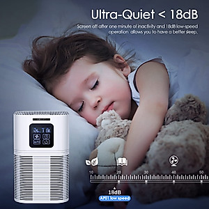 Air Purifiers for Bedroom Home Large Room 610 sq.ft (Filter Inside), Upgrade AMEIFU H13 Hepa Purifier with Aromatherapy Function for Pets Hair, Smoke, Dust and Smell (California Available)