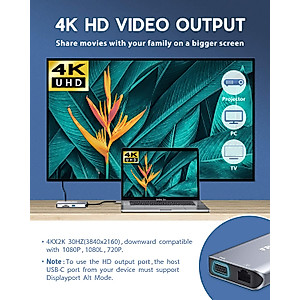 USB C Hub, Type C Adapter, Falwedi 10-in-1 Dongle with Ethernet, 4K@30Hz HDMI, VGA, 3 USB3.0, SD/TF Card Reader, Audio, USB-C PD 3.0, Compatible for MacBook Air Pro and Other Type C Laptops