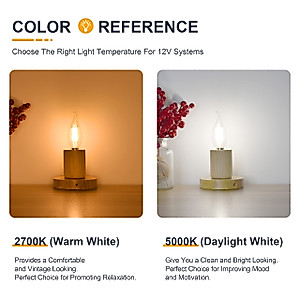 12V E12 LED Candelabra Light Bulbs - Soft Warm 2700K 2W (Only for 12 Volt DC/AC)- Small Candle Base - 25W Equivalent Low Voltage Flame Tip LED Bulb for RV, Backyard Shed - 4 Pack