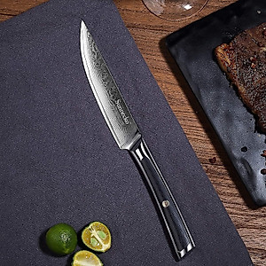 Sunnecko Damascus Kitchen Knife Japanese Utility Knife 5 Inch, Damascus Knife Full Tang with G10 Handle