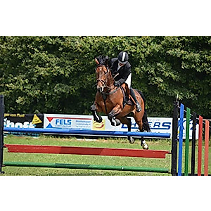 DOUBLE ACTION (Cooling and Warming Effect) Liniment Gel for Sore Muscles and Joints made with Camphor and Menthol for Horses. Effective Post Workout Recovery and Pre-Workout Leg and Spinal Care Rub