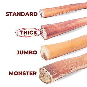 Bully Bunches Premium 12 Inch Thick Odor-Free Bully Sticks for Medium & Large Dogs - Long Lasting Chews for Oral Care - All Natural & Single Ingredient, 100% Beef Dog Treat, Rawhide Free (10 Pk)