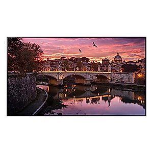 Samsung Business QB55R 55 inch 4K UHD LED Commercial Signage Display for Business with HDMI, Wi-Fi, 350 nit (LH55QBREBGCXZA)