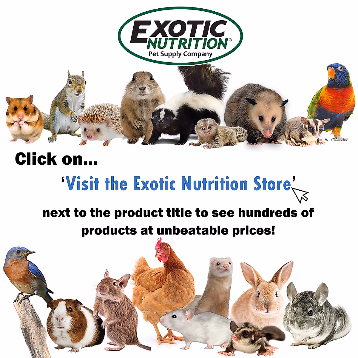 Exotic Nutrition Glider Booster (2 oz.) - Complete Multivitamin - Powdered Vitamin & Mineral Supplement for Pet Sugar Gliders