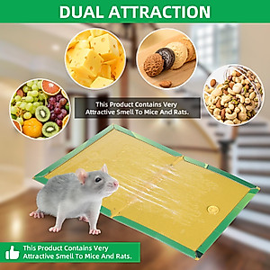 36 Pcs Large Mouse Sticky Traps with Stronger Stickiness Rat Glue Boards for Mice Rats Rodents, Professional Home Animal Trap Sticky Pads for House Indoor Outdoor