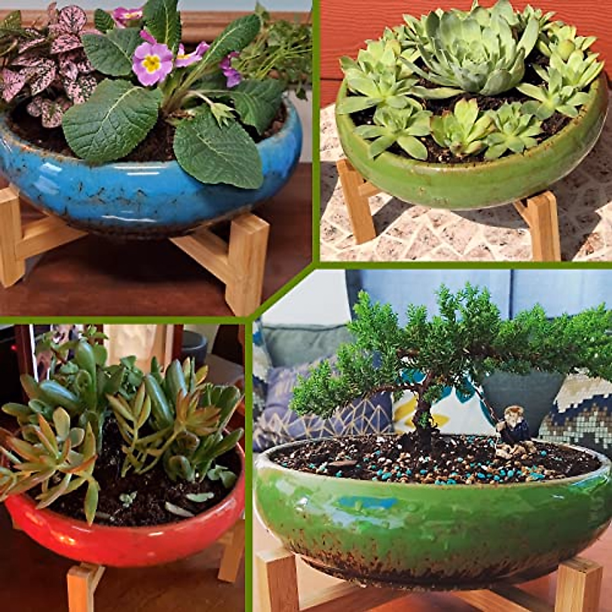 Succulent Pots - Large Succulent Planters Pots with Drainage, 10 Inch Ceramic Bonsai Pot with Stand Round Shallow Planter for Indoor/Outdoor Plants Decorative Garden Cactus Flower Container Bowl