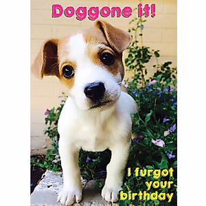 Glory To Dog Doggone It! I Furgot Your Birthday Belated Birthday Card (featuring an adorable Jack Russell Terrier puppy) with Greeting Card Mailing Envelope