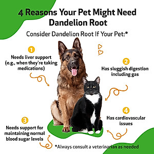 Pet Wellbeing Dandelion Root for Dogs & Cats - Liver & Heart Health, Digestive Function, Blood Sugar Support, Certified Organic - Veterinarian-Formulated Herbal Supplement 4 oz (118 ml)