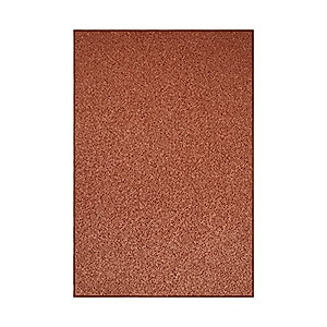 Furnish my Place Modern Plush Solid Color Rug - Rust, 3' x 5', Pet and Kids Friendly Rug. Made in USA, Rectangle, Area Rugs Great for Kids, Pets, Event, Wedding