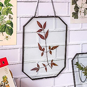 NCYP Wall Hanging Black 8X10 inches Long Octagon Herbarium Brass Glass Frame for Pressed Flowers, Dried Flowers, Poster, Double Glass, Floating Frame Style, Glass Frame Only