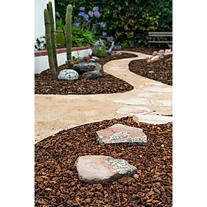 SuperMoss (23114) Orchid Potting Bark, Natural, 4 quarts