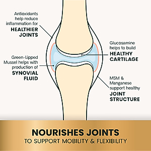 VetriScience GlycoFlex Plus Hip and Joint Supplement for Dogs – Extra-Strength Joint Support Chews with Green Lipped Mussel, Chondroitin, and Glucosamine for Dogs