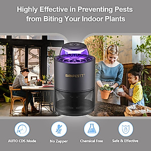 BANPESTT Fruit Fly Trap Indoor, Gnat Traps for House, Mosquito Trap Indoor Insect Traps with Suction, Dusk-to-Dawn Sensor Function, Bug Light & 6 Sticky Glue Boards (Black)