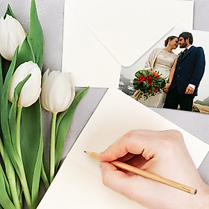 Fresh & Lucky 40 Greeting Cards Assortment Box all Occasion With White Envelopes - 4" x 6" Folded Thick Cards With Colorful, Funny Unique Designs