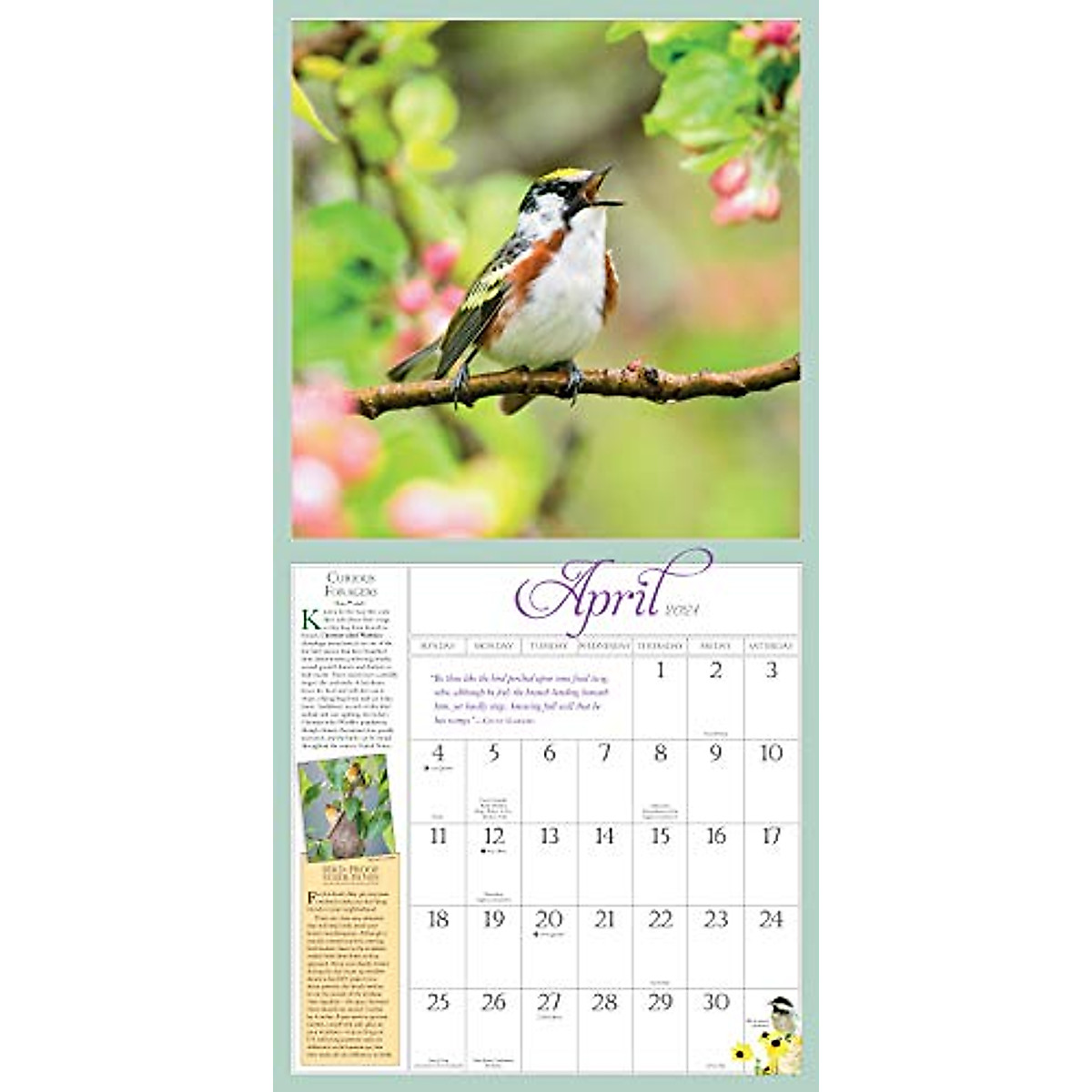 Audubon Birds in the Garden Wall Calendar 2021