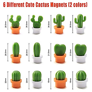 Fridge Magnet, 48 Pcs Refrigerator Magnets for Whiteboard, Cute Magnets Fridge, 6 Different Shaped Cactus Locker Magnets, Strong Fridge Magnets Fun Decorative Magnets for Fridge Kitchen Office