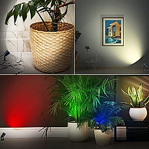 RAIFOOLLY Landscape Lights, Remote Control Spotlight with 16 Colors,Waterproof LED Ground Lighting with Spike and Base for Garden Pathway Patio Yard Plants（Plug-in）