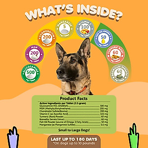 Joint Supplement for Dogs | 90 Turmeric for Dogs Chews Plus Fish Oil, Glucosamine for Dogs Chondroitin, MSM + Vitamin C for Dogs | Dog Hip and Joint Supplement Dogs Mobility Support & Dog Pain Relief