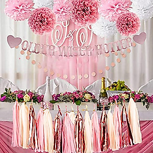 Rose Gold Older Wiser Hotter Decorations, Glitter Funny Birthday Banner and Tissue Paper Tassels Garland for Girls Women Birthday Party Decorations