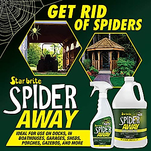STAR BRITE Spider Away – Safely Chase Away Spiders & Other Pests Without Harm - Ideal for Use On Garages, Porches, Docks, Boathouses, Home & More - Safe to Use Around People, Pets & Wildlife 22 Ounce