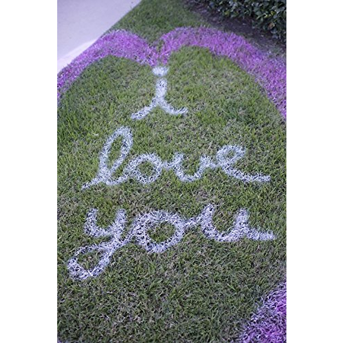 Testors Spray Chalk, White, 6 Ounce (Pack of 1), 307587