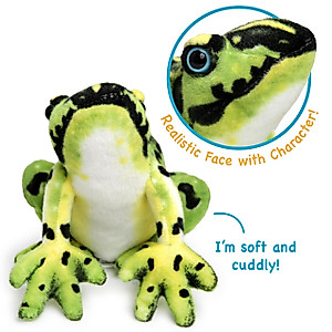 TigerHart Frisco The Frog - 10 Inch Poison Dart Tree Toad Stuffed Animal Plush