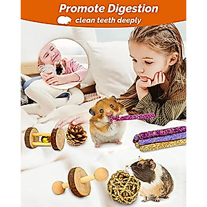 OVERTANG Hamster Toys, Guinea Pig Toys, 18 Pcs Wooden Hamster Toy Set Natural Apple Wood Small Animal Chew Molar Toys for Teeth for Rabbit, Chinchilla, Gerbils, Rats Exercise Accessories