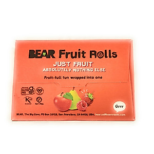 Bear Real Fruit Snack Rolls, Strawberry & Raspberry Variety Pack, 48 Roll (24pk, 2 rolls per Pack), Packaged with Bryant Desai Supplies Pen
