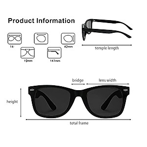 Lxnoap Sunglasses Classic 80’s Vintage Style Design (Black Matte, Smoke)