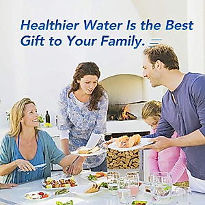 ICEPURE RWF4700AC Replacement for LG LT1000P MDJ64844601 ADQ74793501 LT1000PC, Kenmore Elite 9980 ADQ74793502 LRFXC2416S LRFVS3006S LRMDS3006S LFXS28596S Refrigerator and LT120F Air Filter 3PACK