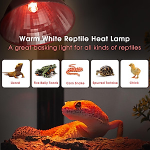 Briignite Reptile Heat Lamp Red, Reptile Night Lamp 50W, G9 Heat Bulb & Dome Reptile Light Fixture, Aluminum Reflector, Dimmable Heat Lamp for Chicken Turtle Snake Gecko Lizard, 1 Pack