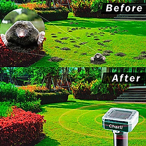 Charli New 8X Solar Sonic Mole Repellent Groundhog Repeller Gopher Deterrent Vole Chaser Snake Repellent Spikes Traps Rodents No Killing - Remove Burrowing Rodents (8) (8)