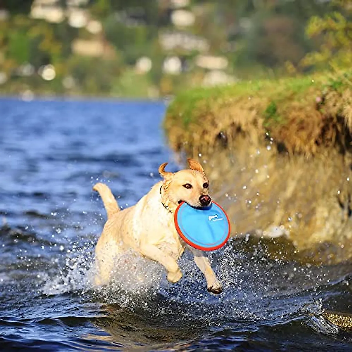 ChuckIt! Paraflight Flyer Dog Frisbee Toy Floats On Water; Gentle On Dog's Teeth And Gums; Large