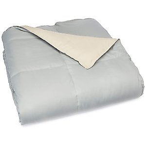 Modern Threads Down Alternative Microfiber Quilted Reversible Comforter & Duvet Insert - Soft, Comfortable Alternative To Goose Down - Bedding For All Seasons Seafoam/Almond Twin