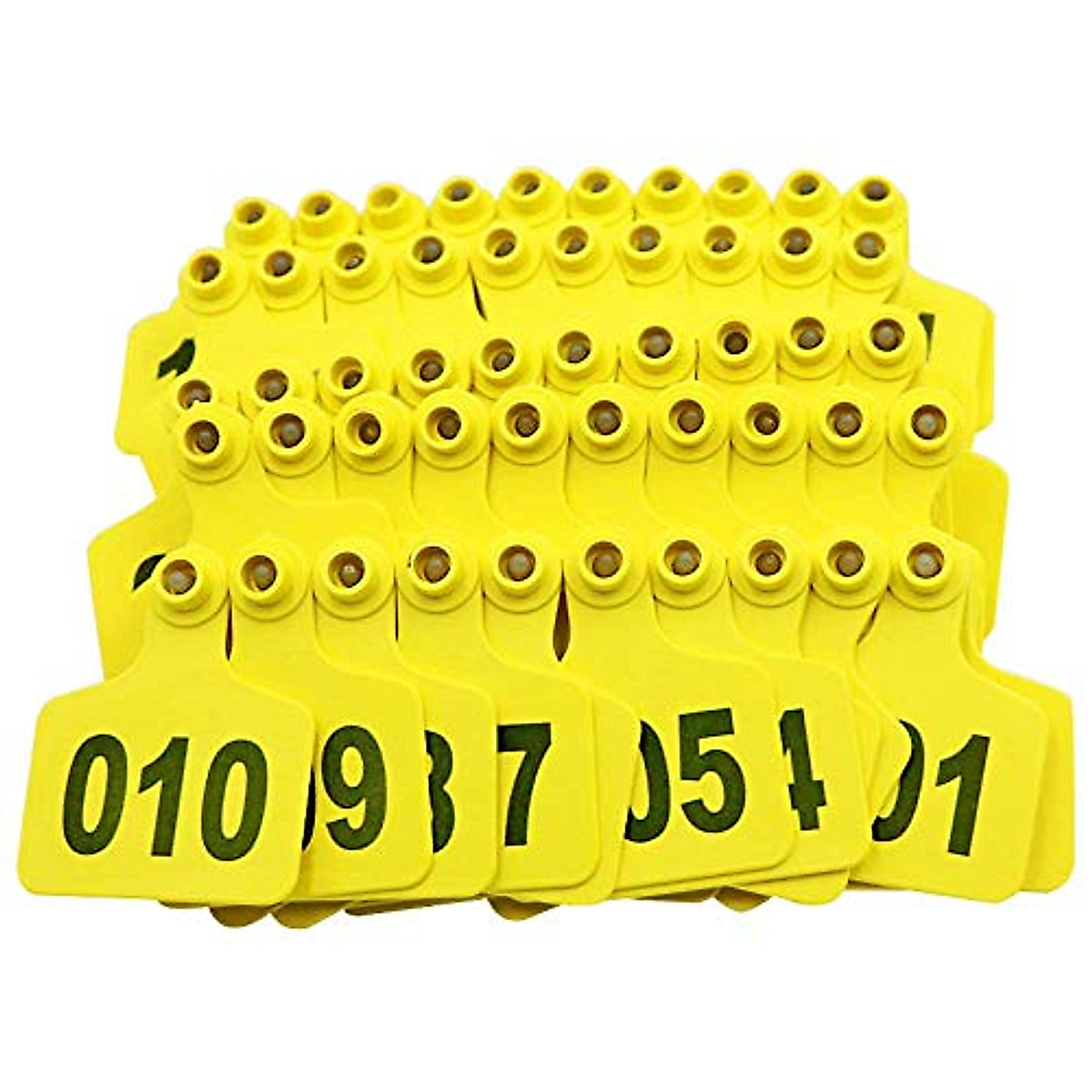 Durable Cattle Ear Tags for Livestock Identification