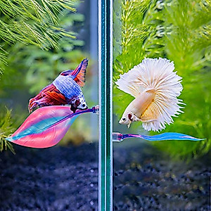 WILLBOND 2 Pieces Silicone Betta Bed Leaf Hammock for Betta Fish, Betta Fish Bed, Practical Resting Spot, No BPA, Comfortable and Safe (Blue, Pink)