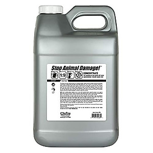 Goose Stopper Repellent - Safe & Effective, All Natural Food Grade Ingredients; Repels Geese and Ducks; Easy to Use, 2.5 Gallon Liquid Concentrate