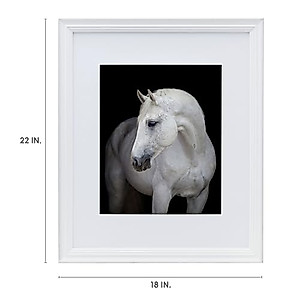 Studio Nova Picture Frame Displays 11 x 14 Photos 16 x 20 Without Mat, 16x20-Matted 11x14, White (5278448)