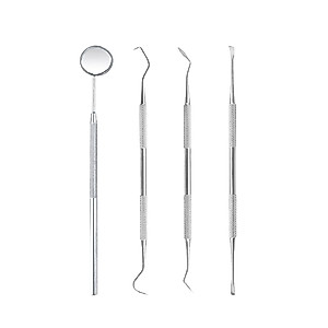 GSHLLO 4 Pcs Stainless Steel Tartar Remover Dog Teeth Picks Dental Tartar Removal Cleaner Tooth Plaque Scraper Pet Oral Cleaning Tool
