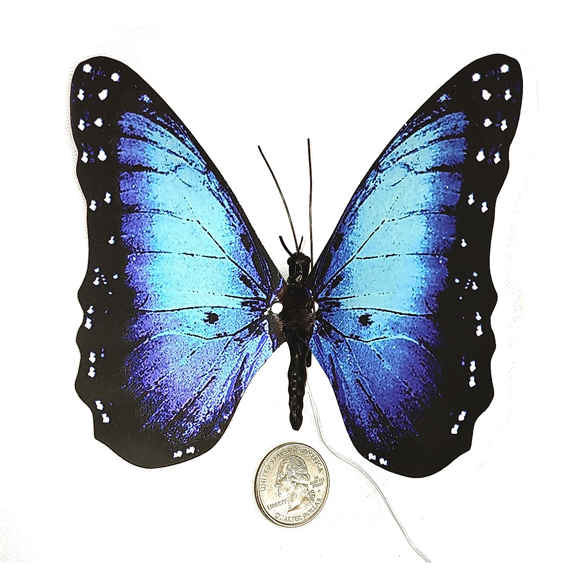 Flexinol Moving Butterfly (Blue Morpho)