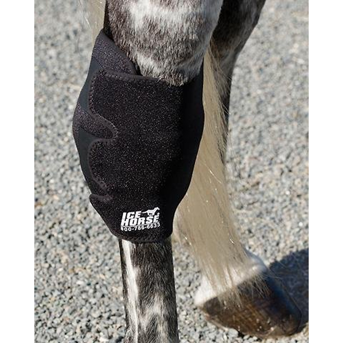Ice Horse Pair Hock Wraps for Equine Therapy - Comes with 6 Ice Packs