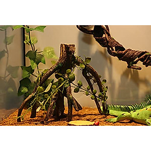 AQUA KT Reptile Corner Climbing Branch with Plant Snake Climb Tree for Bearded Dragon Lizard Hermit Crab Crested Gecko Leopard Chameleon Frog Terrarium Habitat