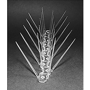 MorningVale -Bird Spike Pigeon Control Spike Set of 50 Pieces