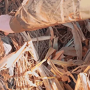 Drake Waterfowl Ghillie Shallow Water Chair Blind Mossy Oak Shadow Grass Habitat